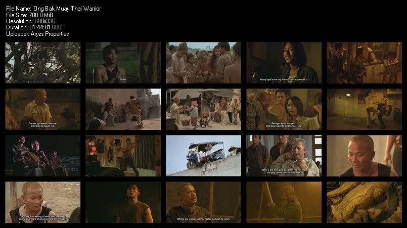 Ong Bak Muay Thai Warrior 2003 Dvd Rip Aryzs Properties